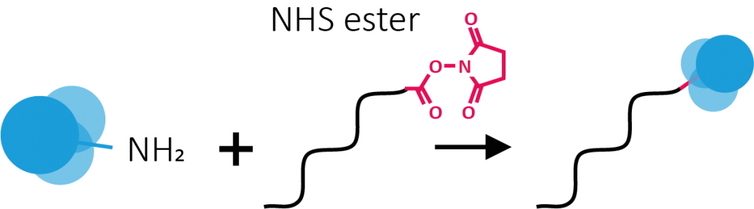 Reagents | Dynamic Biosensors