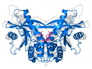 heliX - Dynamic Biosensors