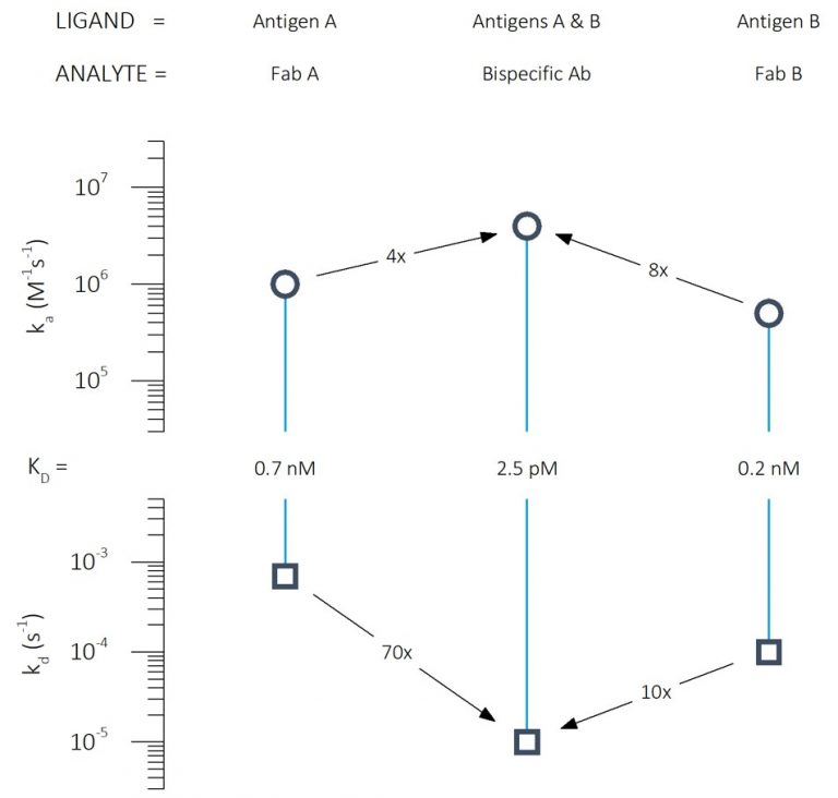 heliX - Dynamic Biosensors