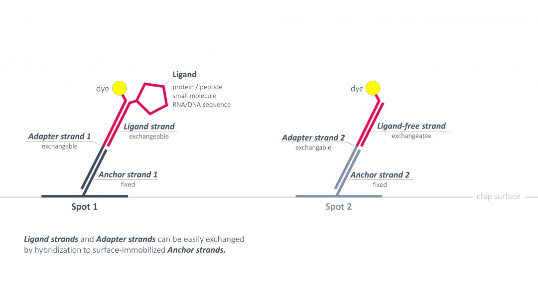 heliX Adapter chip - Dynamic Biosensors