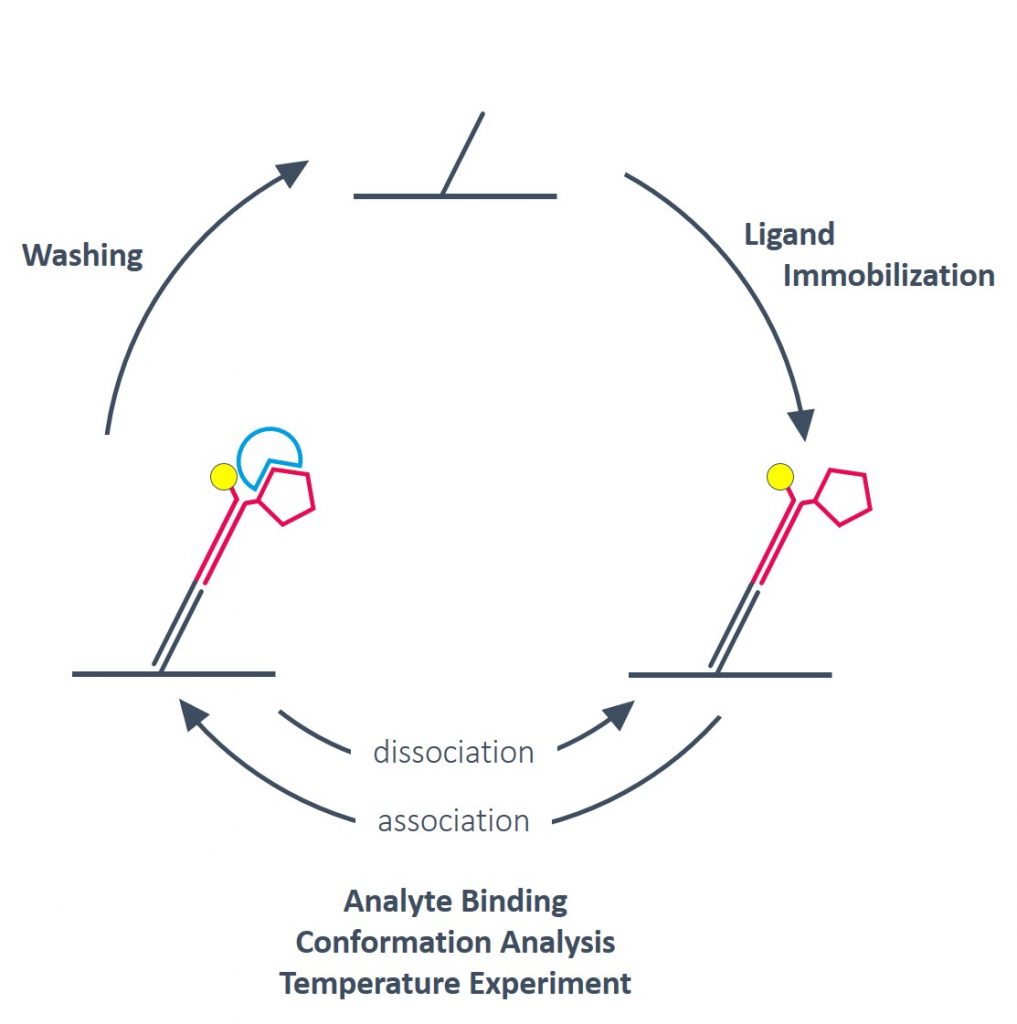 heliX Adapter chip - Dynamic Biosensors
