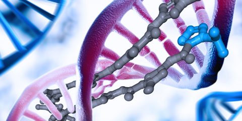 Resources - Dynamic Biosensors