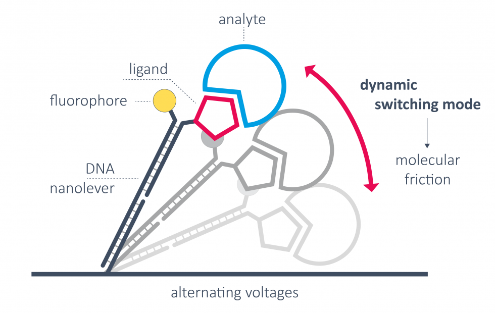 switchSENSE® | Dynamic Biosensors