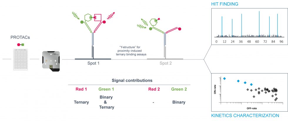 Protein-Protein Interactions - Dynamic Biosensors