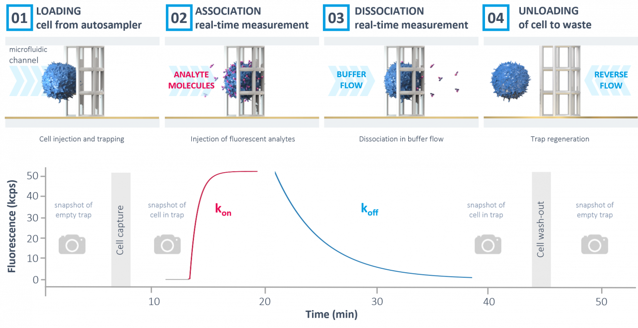 scIC - Dynamic Biosensors