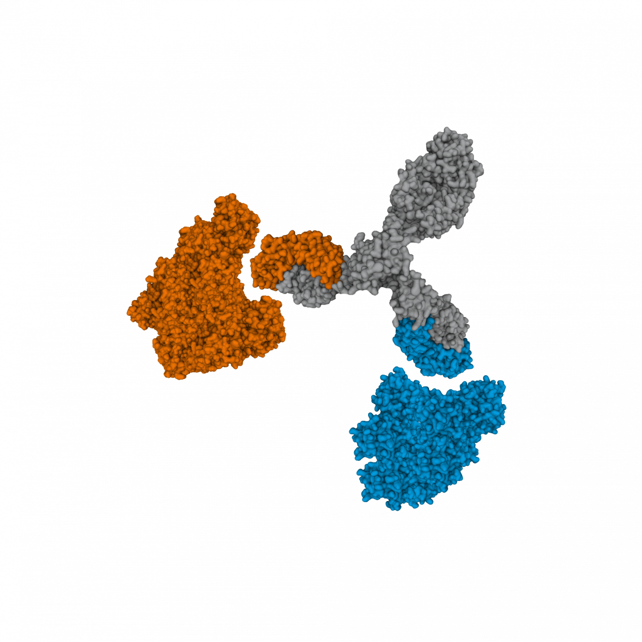 heliX® Bivalent and Bispecific Binders Tutorial - Dynamic Biosensors