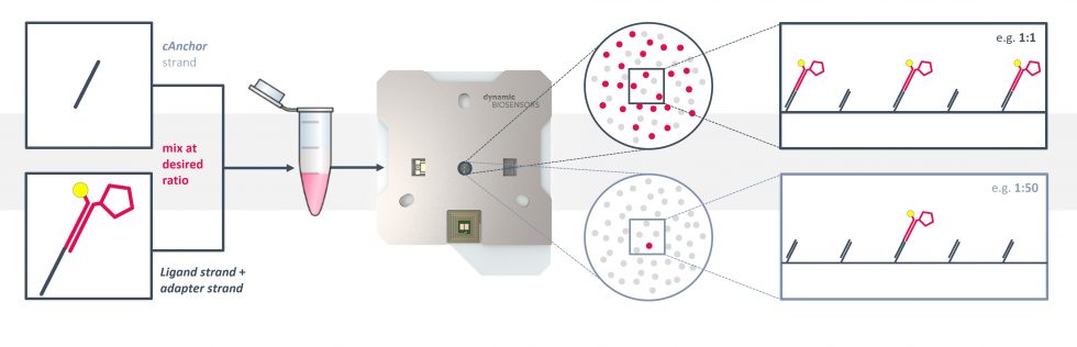 heliX Adapter chip - Dynamic Biosensors