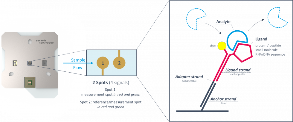 heliX Adapter chip - Dynamic Biosensors