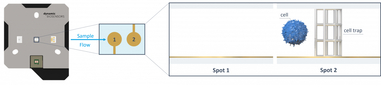 heliXcyto Chip - Dynamic Biosensors