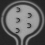 heliXcyto Chip – Dynamic Biosensors