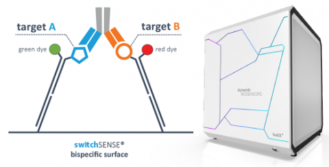 Multi-specific Binders – Dynamic Biosensors