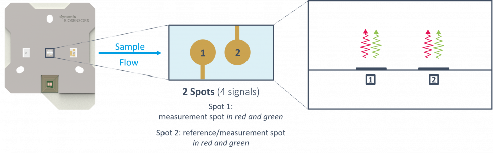 switchSENSE - Dynamic Biosensors
